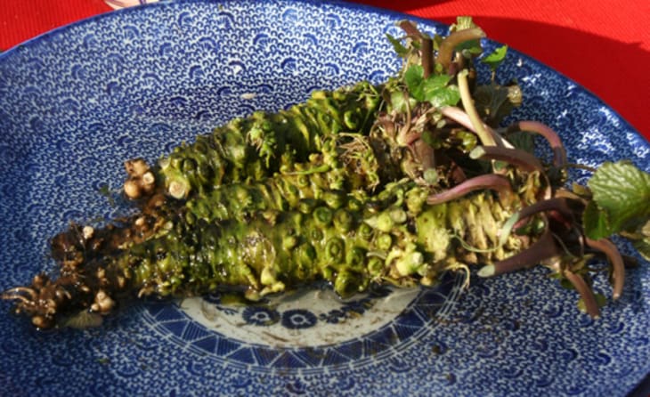 Try This: Fresh Wasabi Root | The Kitchn
