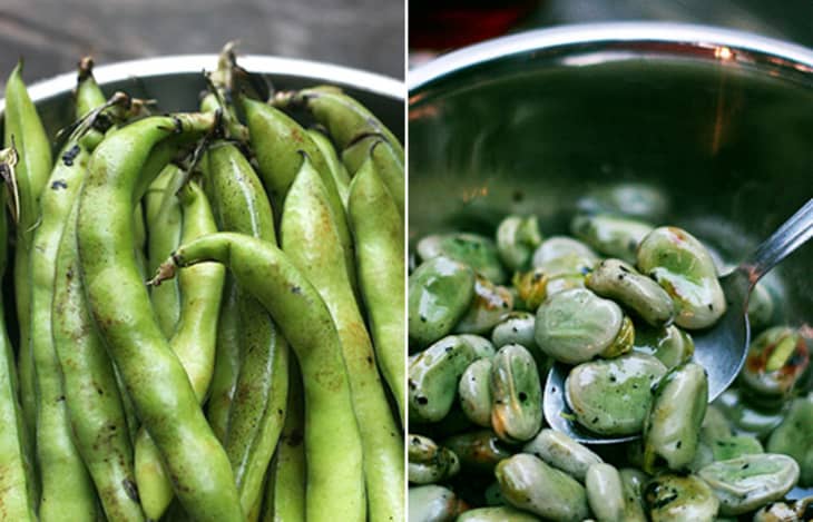 Quick Tip: Try Roasting Fava Beans! | The Kitchn