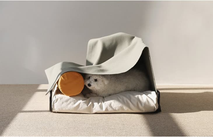 Modular Dog Bed Dog Personality Types | Apartment Therapy