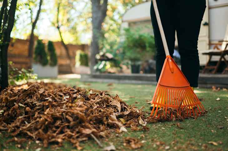 I Swear by the “Grid Method” for Raking Leaves (So Do Pros ...
