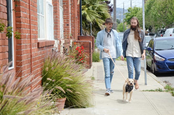 5 Ways You and Your Dog Can Be Good Neighbors | Apartment Therapy