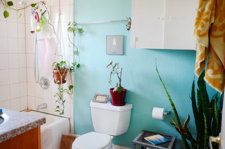 Clorox's Hideaway Caddy Toilet Plunger Is Perfect for My Bathroom ...