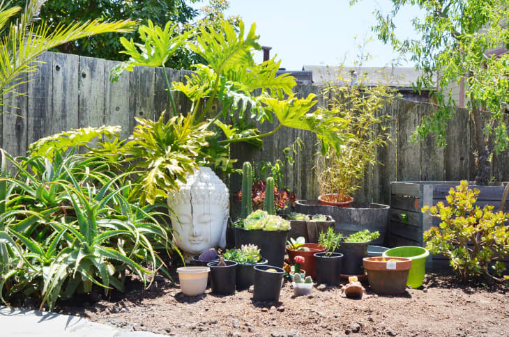 These Are the Top Spring Gardening Trends, According to Pinterest ...