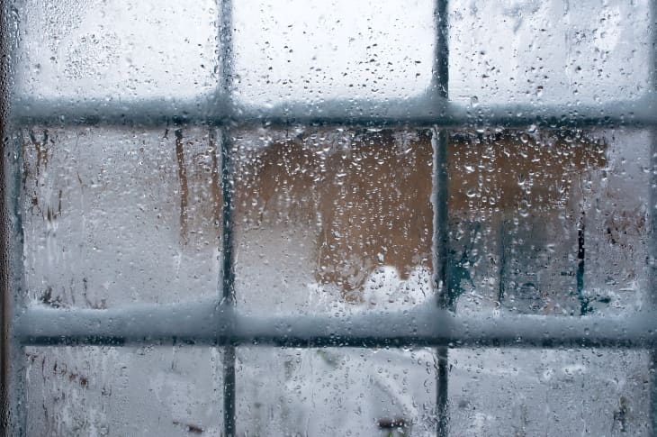Why There is Ice on the Inside of Windows (& What to Do) | Apartment ...