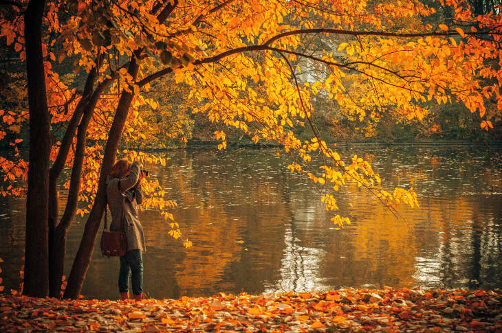 2023’s Fall Foliage Season Could Be Long, Experts Say | Apartment Therapy