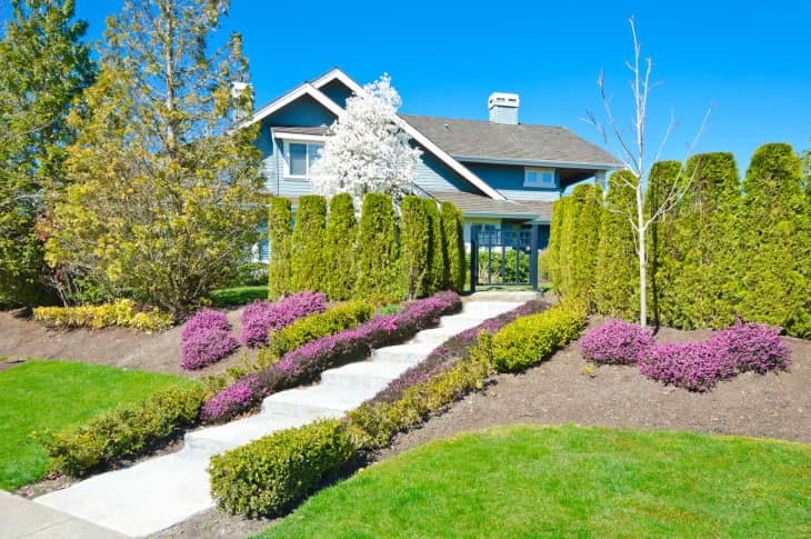 The Pesky Shrubs You Should Never Plant in Your Yard | Apartment Therapy