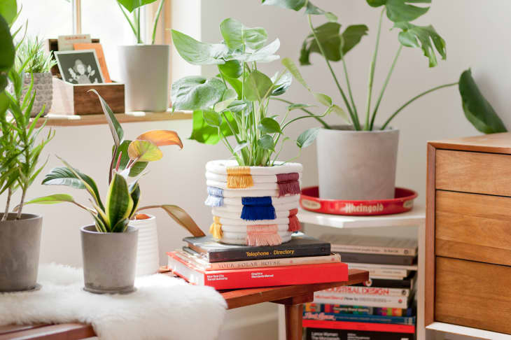 How To Make a DIY Colorful Fringe Coiled Plant Holder | Apartment Therapy