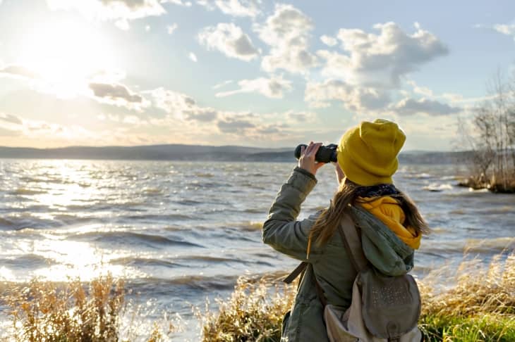 5 Ways to Be a Better Birdwatcher, According to Ornithology Experts ...