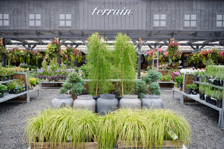 Terrain’s New Store Has an Orchard, Decor, & Plants Galore | Apartment ...