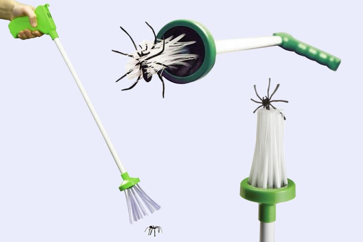 This Humane Spider Catcher is the Perfect Tool for Arachnophobic ...