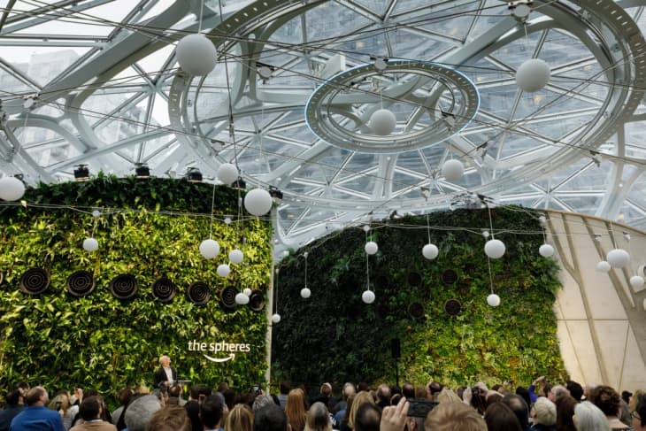 Amazon Spheres Seattle Visit Plants Biodome Photos | Apartment Therapy