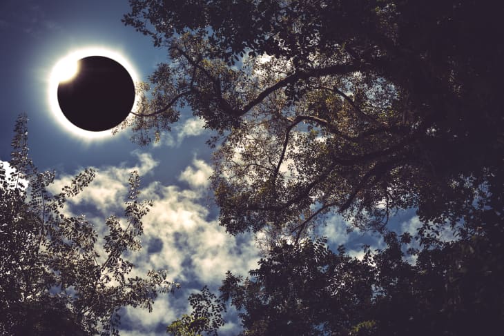 November Frost Moon Eclipse 2020 | Apartment Therapy