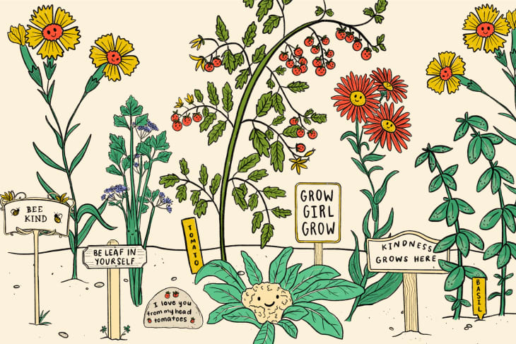 3 Life Lessons I Learned from Plants and Gardening | Apartment Therapy