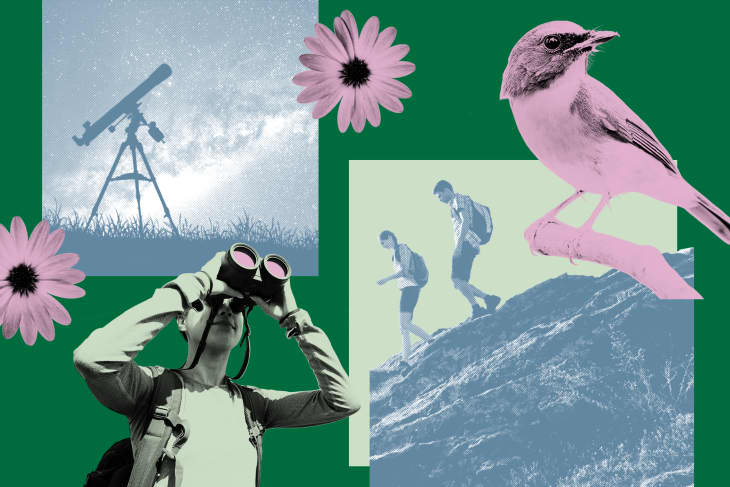 5 Best Outdoor Summer Hobbies For Beginners | Apartment Therapy