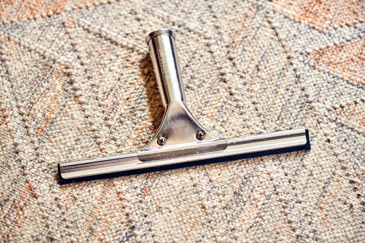 How to Use a Squeegee to Clean Your Carpet and Remove Pet Hair ...
