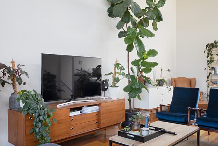 How to Fix a Blurry TV in 6 Easy Steps | Apartment Therapy