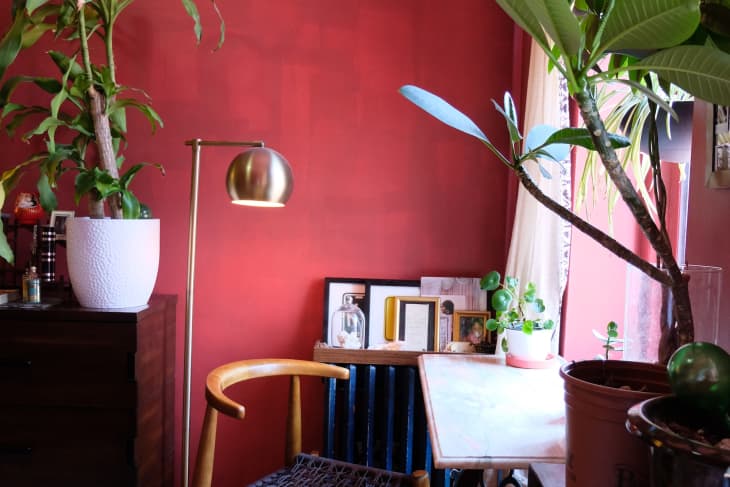 450-Square-Foot NYC Rental With Deep Wall Paint Colors | Apartment Therapy