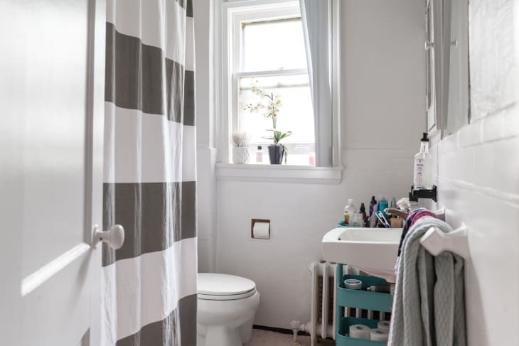 This Simple, Sustainable Trick Helps Me Take Better Showers | Apartment ...