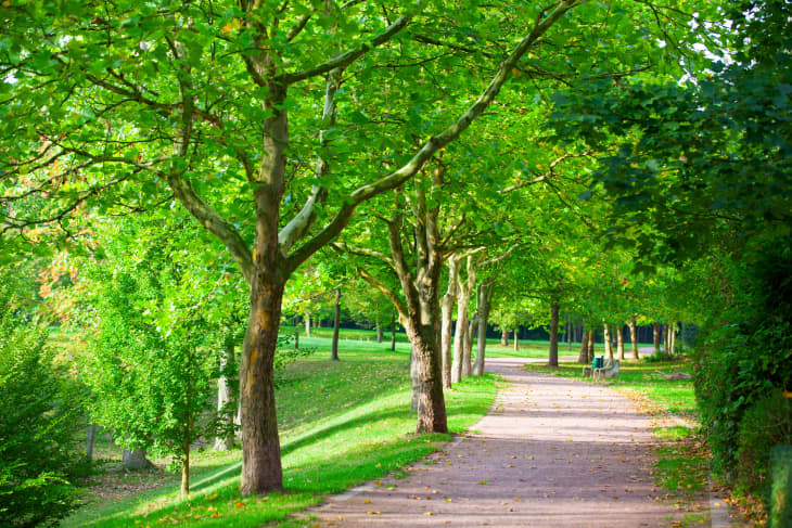 Love Letter to Chicago's Lincoln Park Walking Path | Apartment Therapy