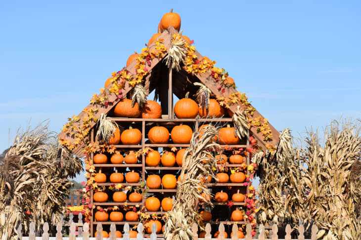 DIY Pumpkin Houses That Are Taking Over Instagram | Apartment Therapy