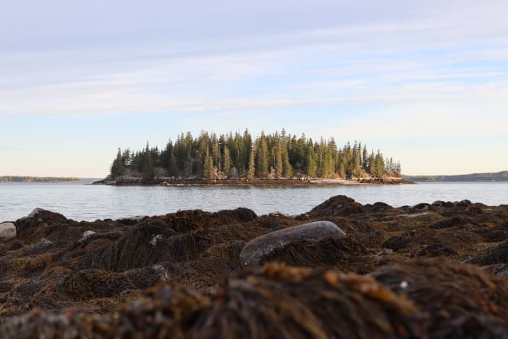 Buy Your Own Private Island In Maine For Under $340,000 | Apartment Therapy