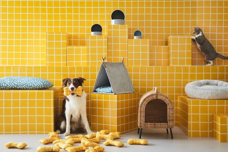 Cool Is Ikea Pet Friendly Pictures