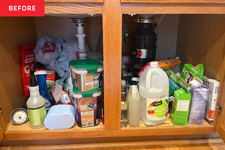 See How a Pro Organizer Fixed My Chaotic Kitchen Cabinet | Apartment ...