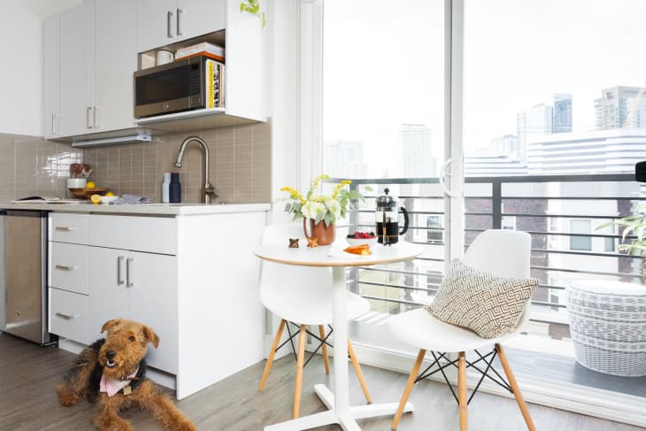 3 Trendy Studio Apartment Layouts and What They Look Like | Apartment ...