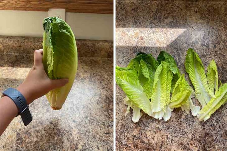 I Tried That Semi-Violent Lettuce Prep Hack from TikTok and It Actually ...