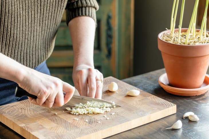 How to Grow Garlic Indoors From Garlic Cloves (It’s So Easy!) | The Kitchn