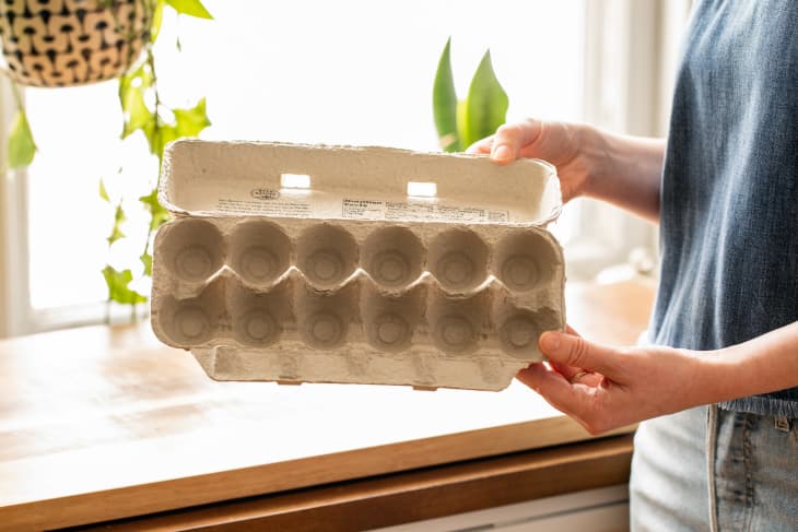 Egg Carton Organizing Trick | The Kitchn