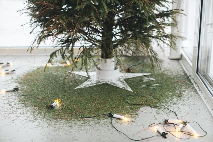 The Best Ways to Clean up Christmas Tree Needles | The Kitchn