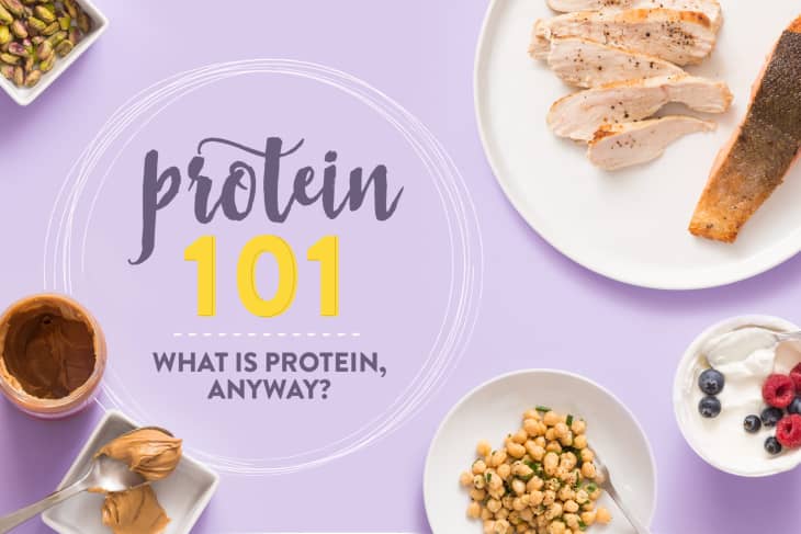 Protein 101: What Is Protein and Why Is It Important? | The Kitchn