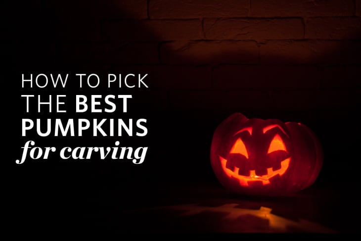 The Secret to Picking the Best Pumpkins for Carving | The Kitchn