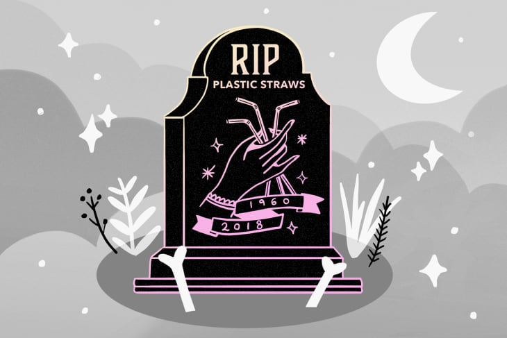 RIP Plastic Straws: 1960-2018 | The Kitchn