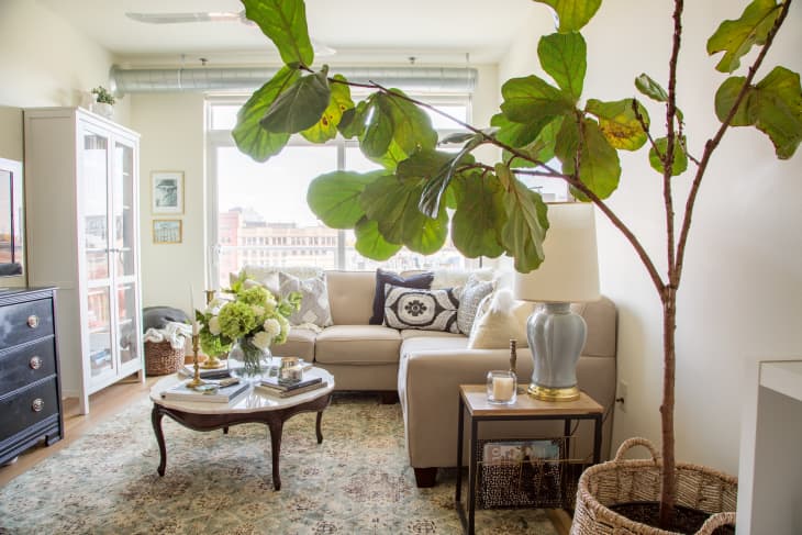 How to Make Downsizing Your Stuff Easier: Real Life Advice | Apartment ...