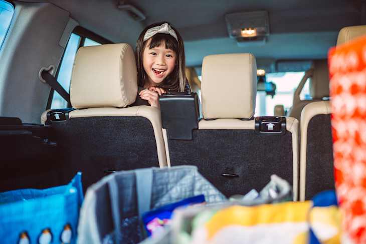 The Best Trunk and Backseat Organizers for the Car | Apartment Therapy