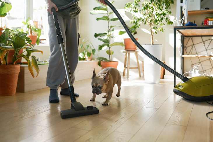 9 Best Vacuums for Small Spaces 2025 | Apartment Therapy