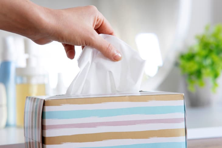 This TikToker's "Thrifty" Hack Transforms a Boring Tissue Box ...