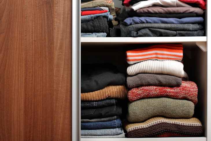 How to Exterminate Clothing Moths, According to Pros | Apartment Therapy