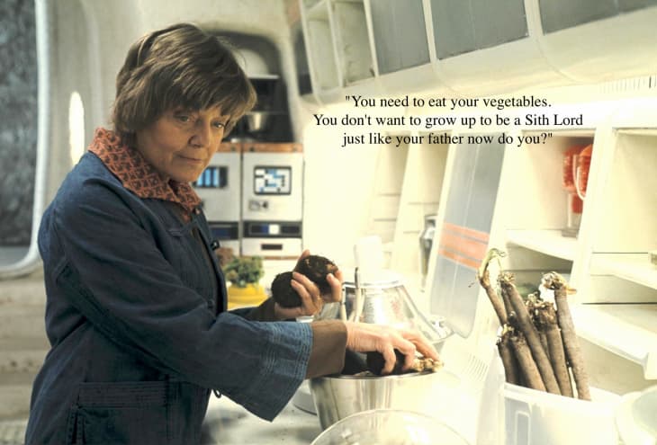 10 Things We Hope Aunt Beru Was Cooking in Star Wars | The Kitchn