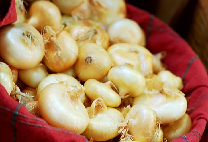 Sweet and Mild: What’s the Deal with Cipollini Onions? | The Kitchn