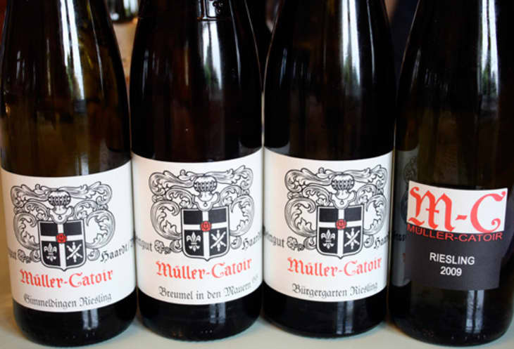 Know Your German Riesling Wine Regions: Mosel, Rheingau, & Pfalz | The ...