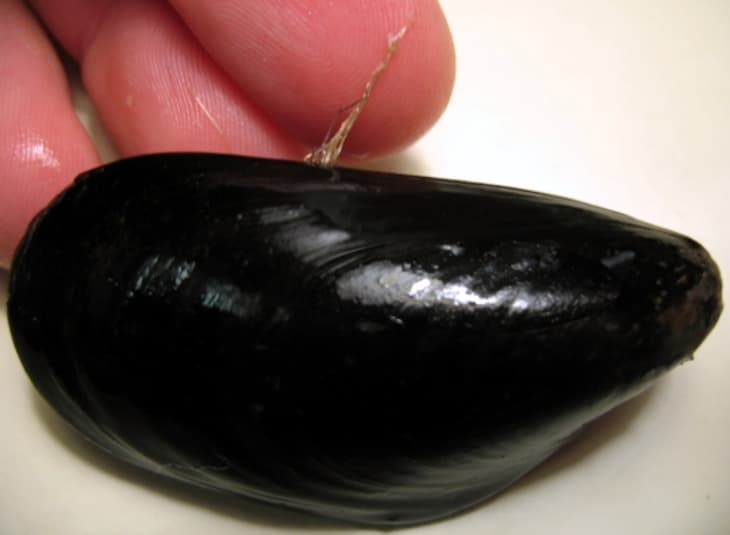 How To Clean and Debeard Mussels | The Kitchn