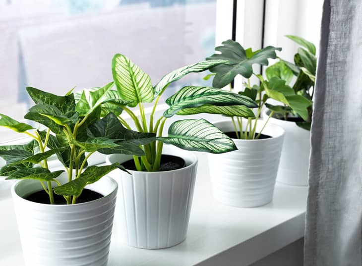 Cute fake plants store