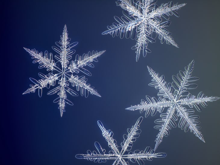 High Resolution Snowflake Photos | Apartment Therapy