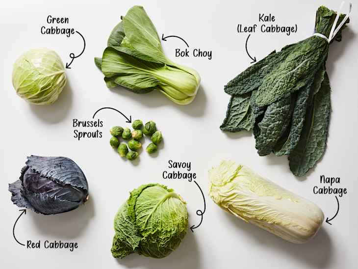 7 Types of Cabbage and How to Use Them | The Kitchn