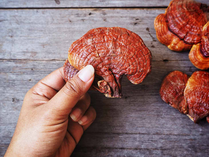 Here's What You Need to Know About Reishi | The Kitchn