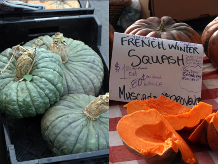 Making the Most of Squash | The Kitchn