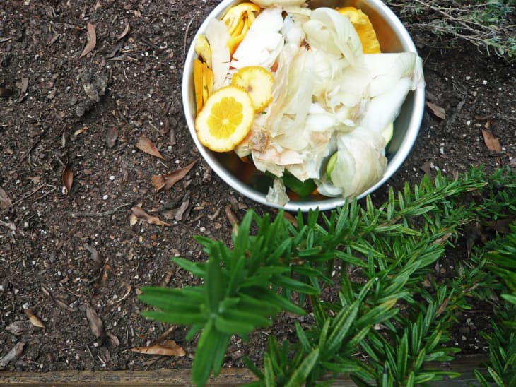 The Most Common Composting Problems Solved | Apartment Therapy